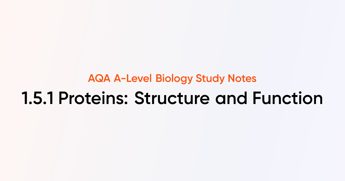 Proteins: Structure and Function (1.5.1) | AQA A-Level Biology Notes ...