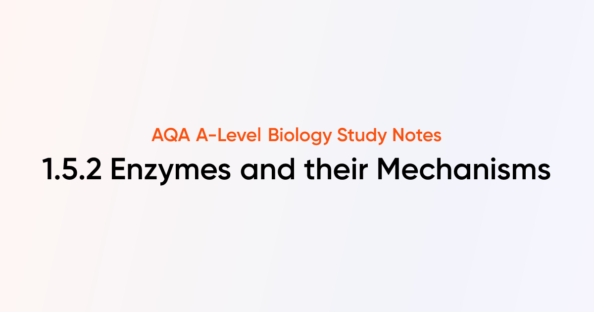 Enzymes and their Mechanisms (1.5.2) | AQA A-Level Biology Notes ...