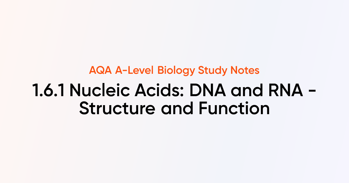Nucleic Acids: DNA and RNA - Structure and Function (1.6.1) | AQA A ...