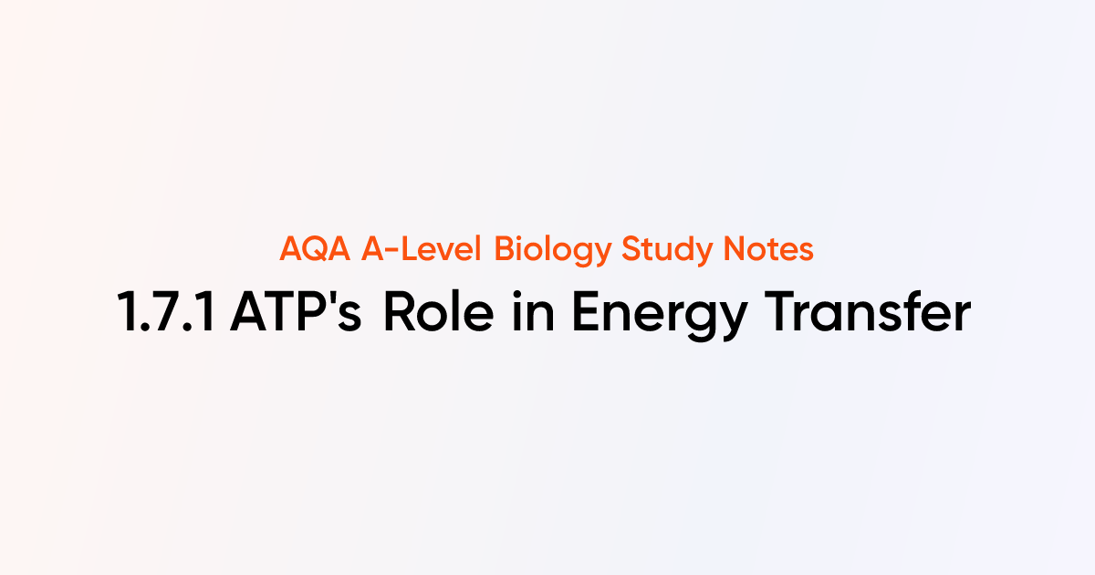 ATP's Role in Energy Transfer (1.7.1) | AQA A-Level Biology Notes ...