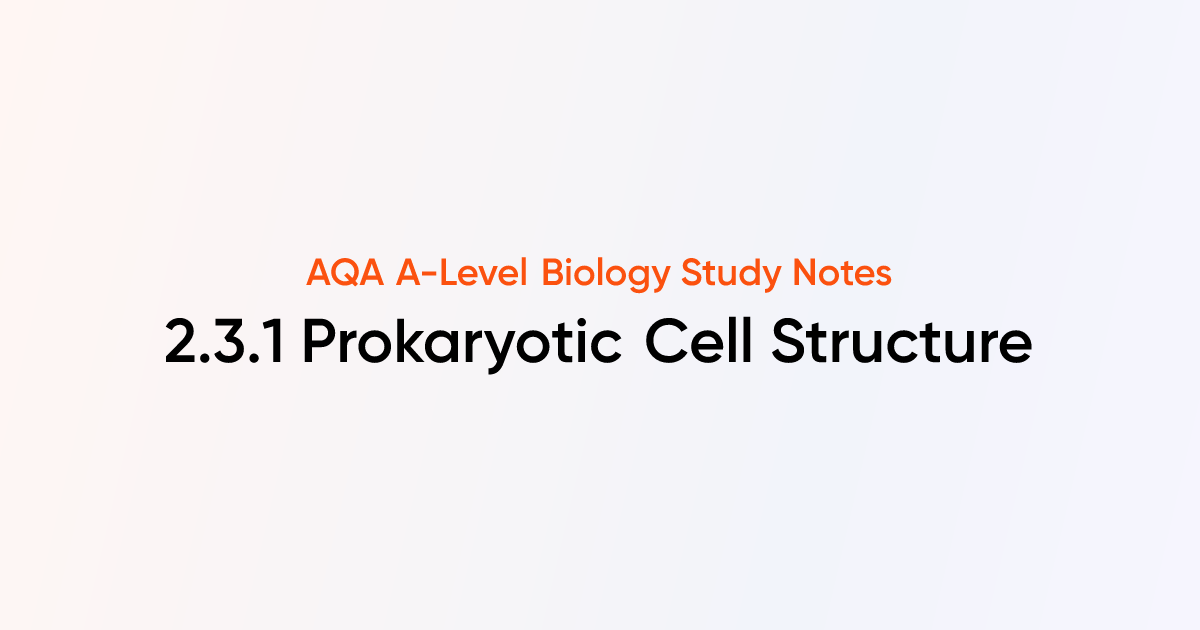 Prokaryotic Cell Structure (2.3.1) | AQA A-Level Biology Notes | TutorChase