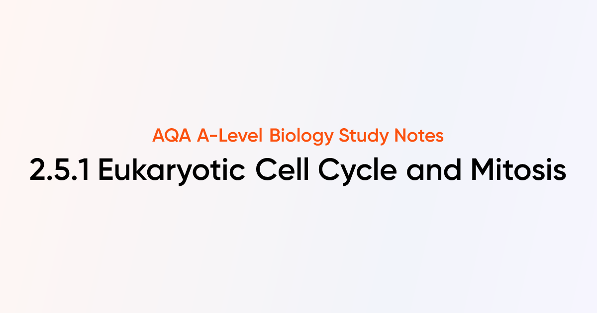 Eukaryotic Cell Cycle and Mitosis (2.5.1) | AQA A-Level Biology Notes ...