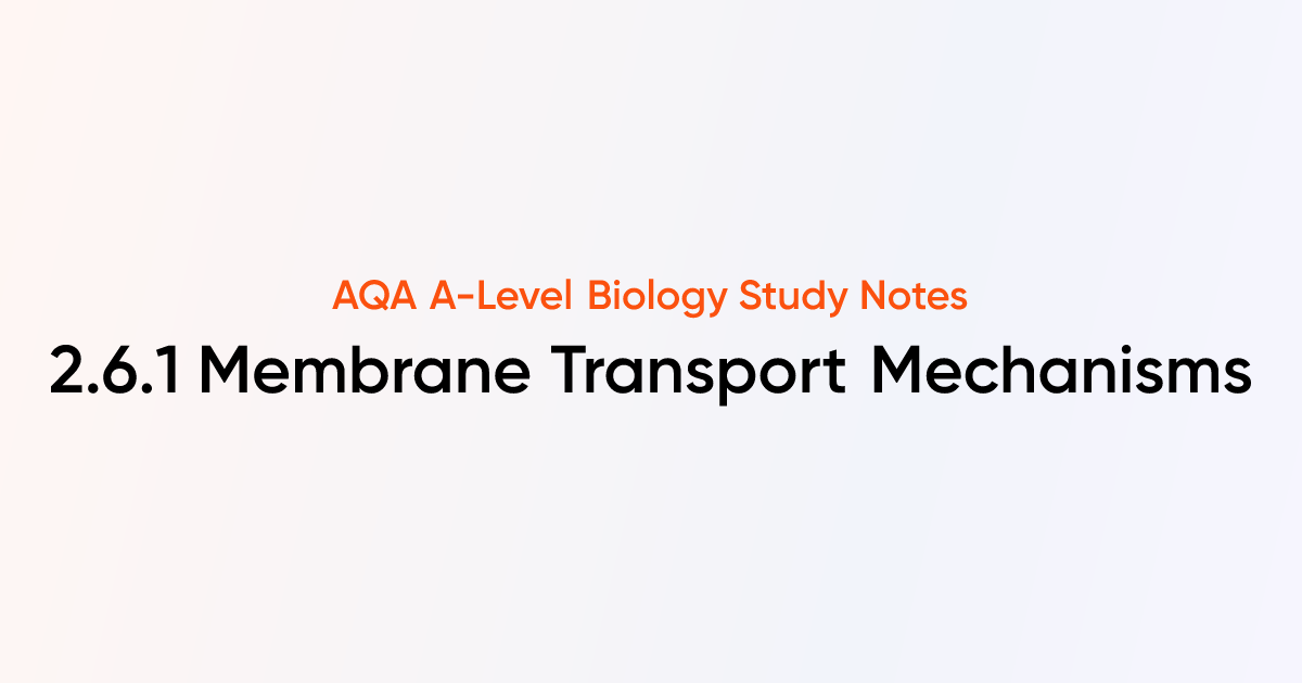 Membrane Transport Mechanisms (2.6.1) | AQA A-Level Biology Notes ...