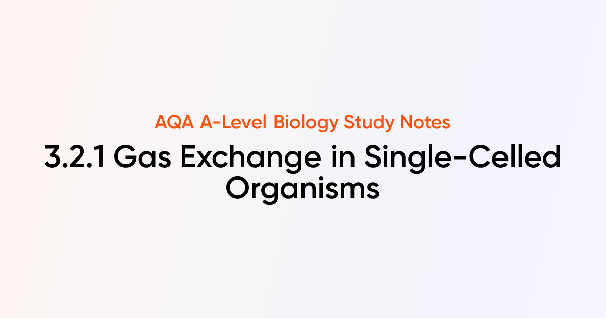 Gas Exchange in Single-Celled Organisms (3.2.1) | AQA A-Level Biology ...