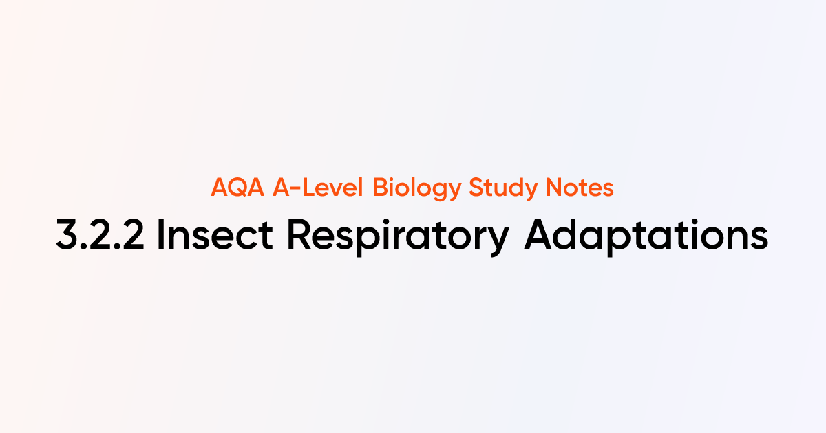 Insect Respiratory Adaptations (3.2.2) | AQA A-Level Biology Notes ...