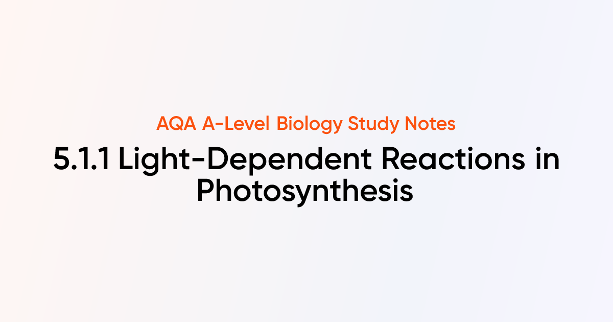 Light-Dependent Reactions in Photosynthesis (5.1.1) | AQA A-Level ...
