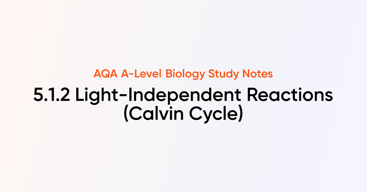 Light-Independent Reactions (Calvin Cycle) (5.1.2) | AQA A-Level ...