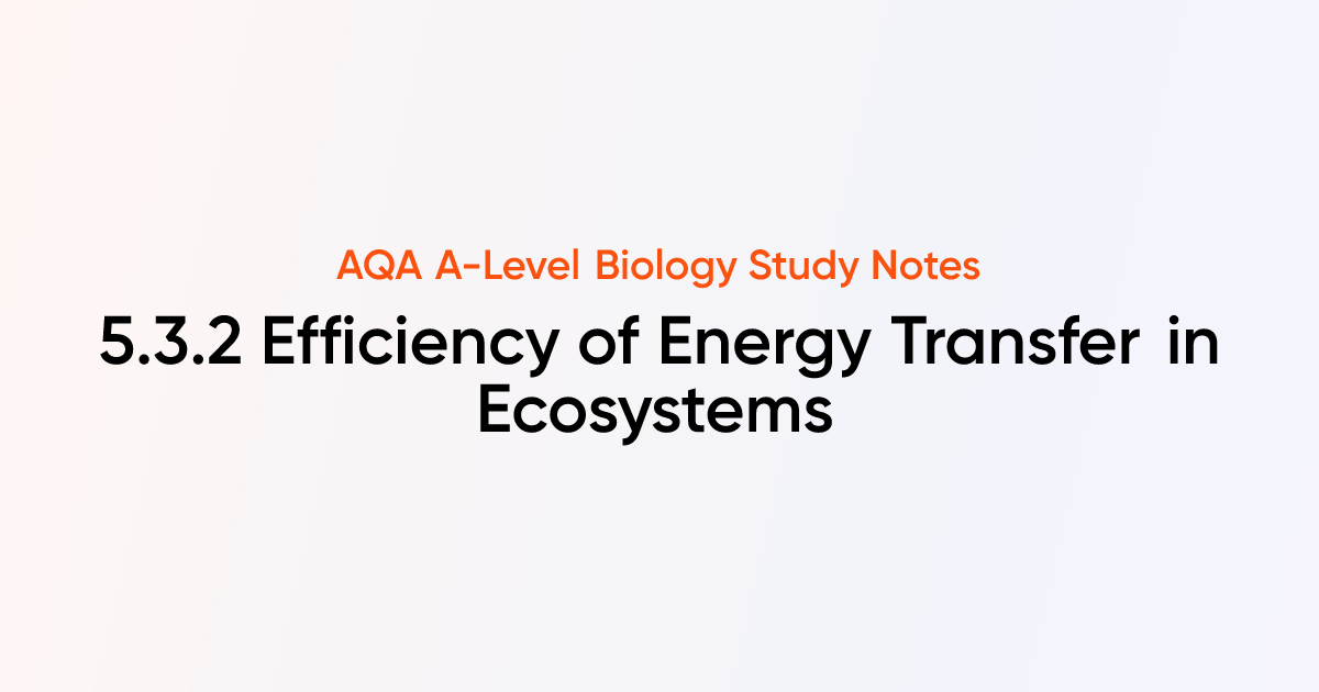 Efficiency of Energy Transfer in Ecosystems (5.3.2) | AQA A-Level ...