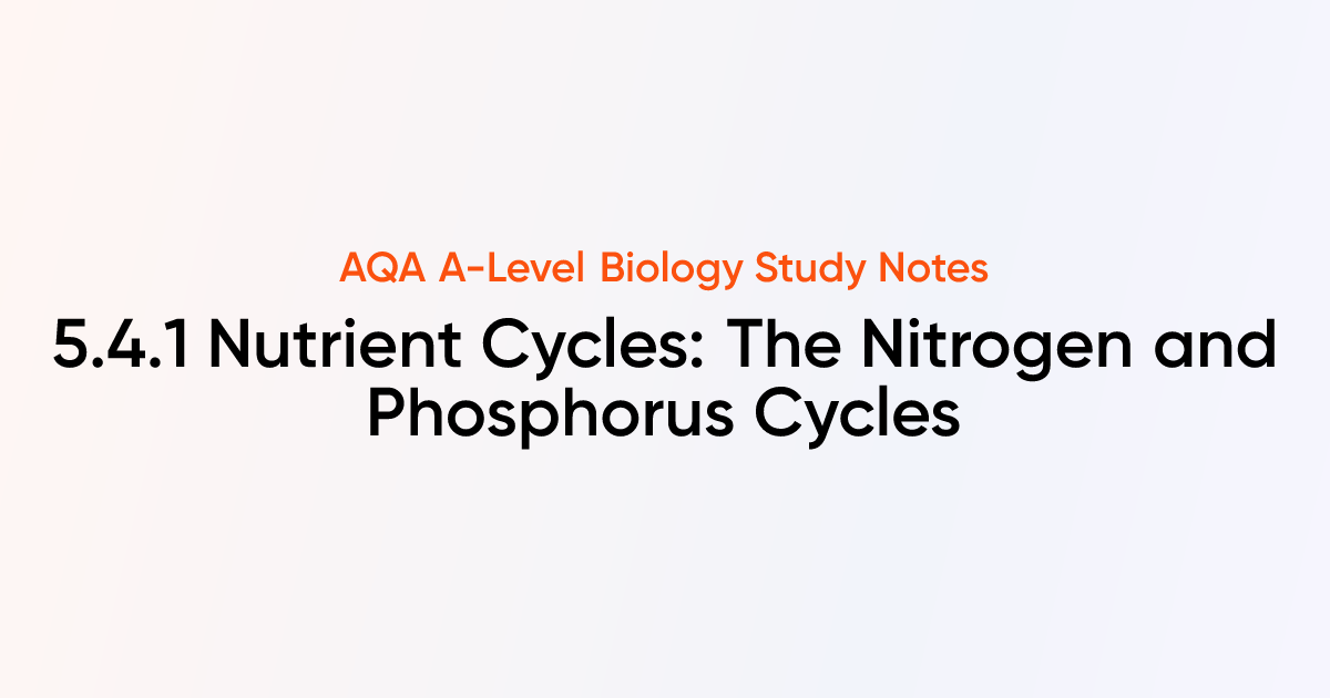 Nutrient Cycles: The Nitrogen and Phosphorus Cycles (5.4.1) | AQA A ...