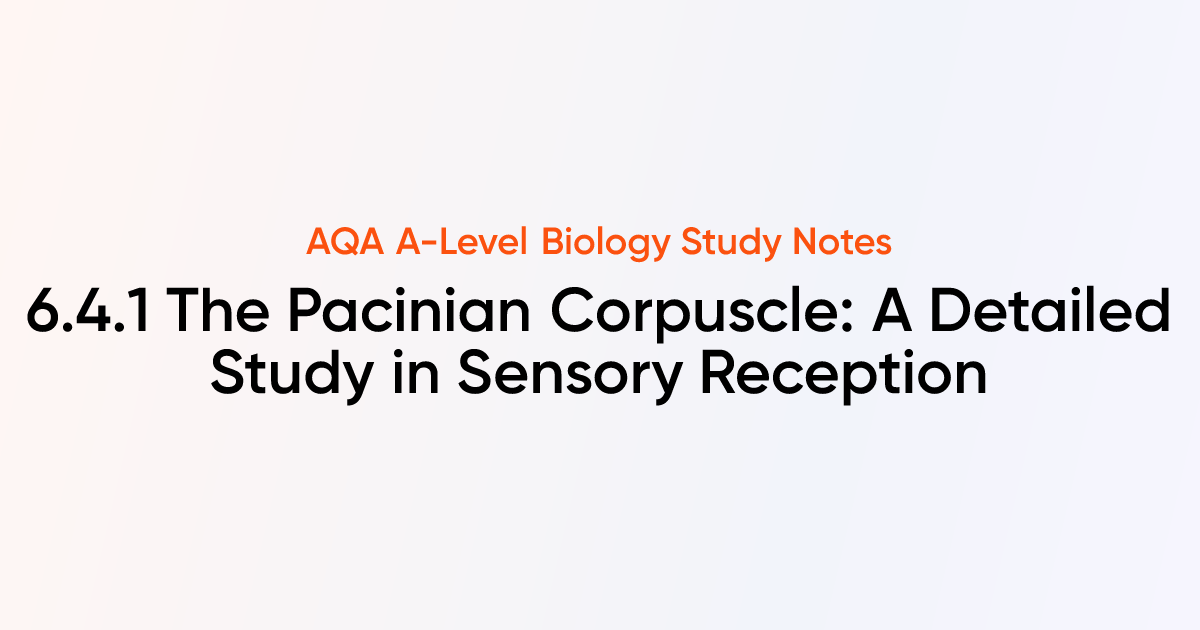 The Pacinian Corpuscle: A Detailed Study in Sensory Reception (6.4.1 ...