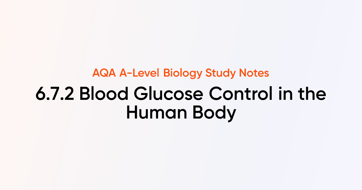 Blood Glucose Control in the Human Body (6.7.2) | AQA A-Level Biology ...