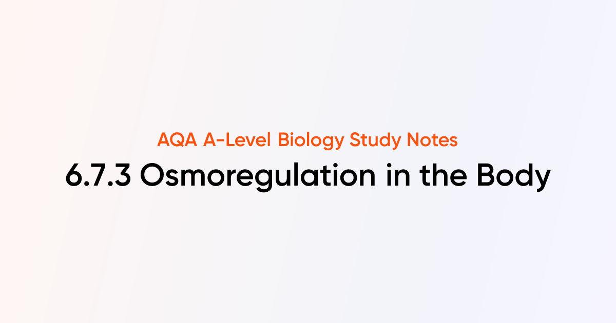 Osmoregulation in the Body (6.7.3) | AQA A-Level Biology Notes | TutorChase