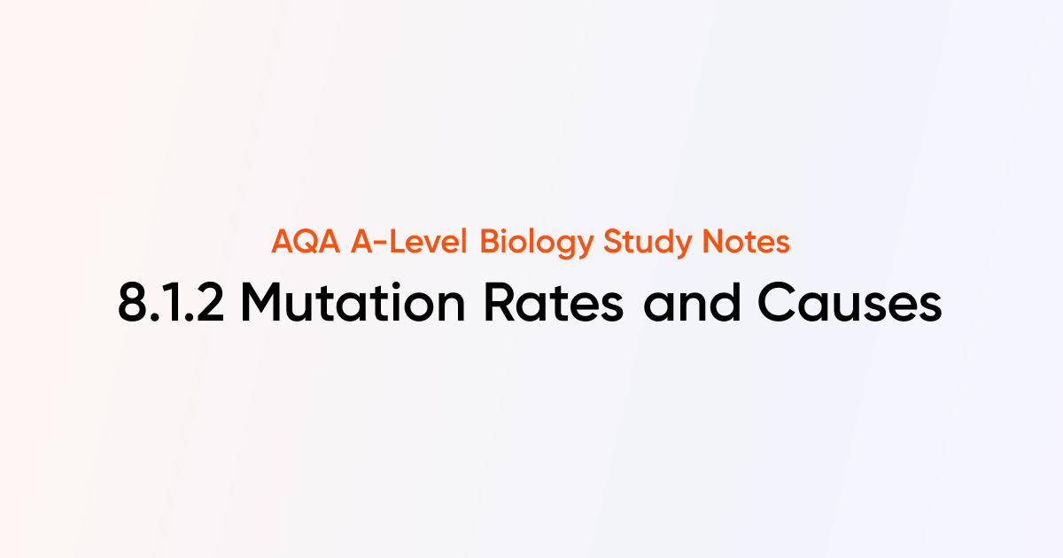 Mutation Rates and Causes (8.1.2) | AQA A-Level Biology Notes | TutorChase