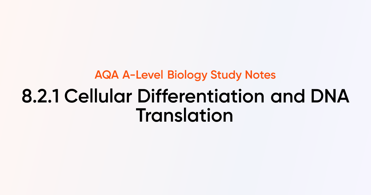 Cellular Differentiation and DNA Translation (8.2.1) | AQA A-Level ...
