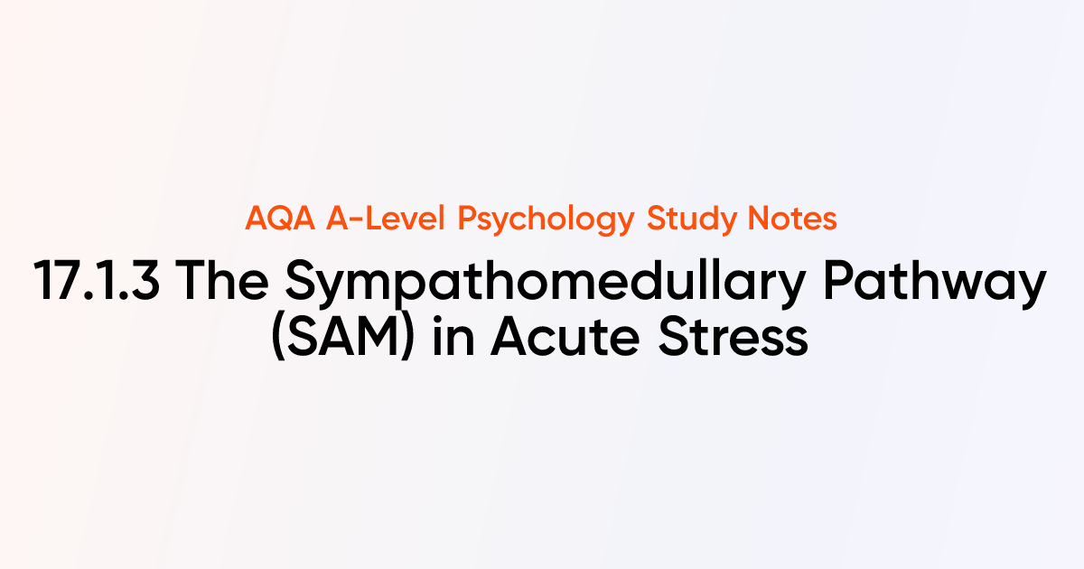 The Sympathomedullary Pathway (SAM) in Acute Stress (17.1.3) | AQA A ...