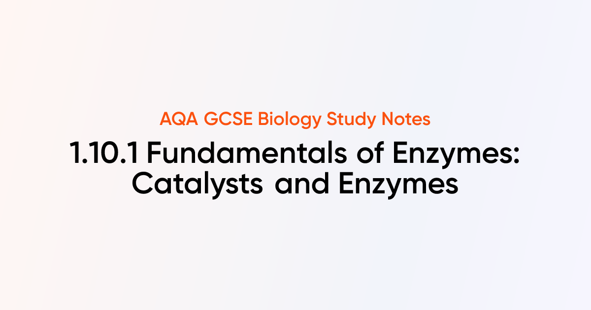 Fundamentals of Enzymes: Catalysts and Enzymes (1.10.1) | AQA GCSE ...