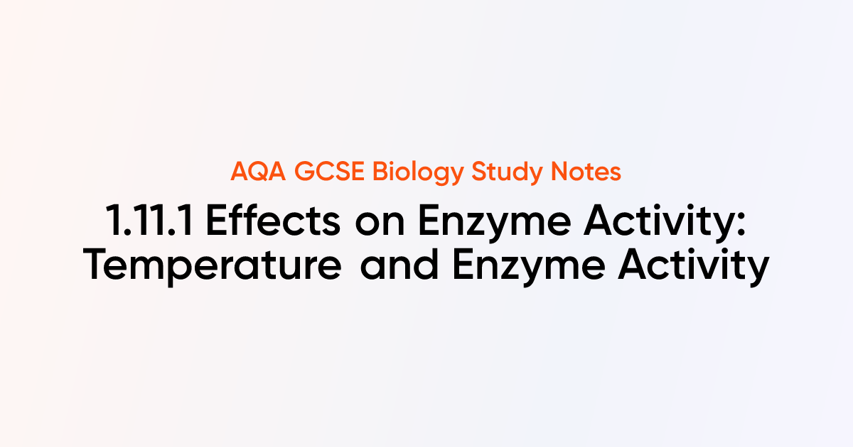 Effects On Enzyme Activity Temperature And Enzyme Activity 1 11 1