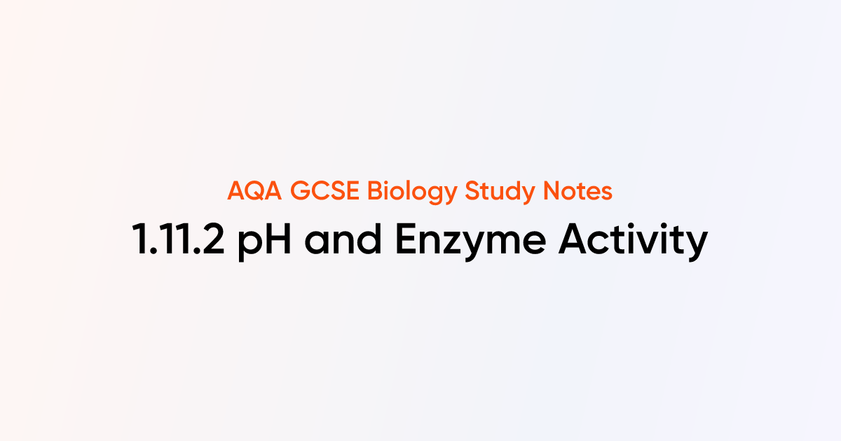 pH and Enzyme Activity (1.11.2) | AQA GCSE Biology Notes | TutorChase