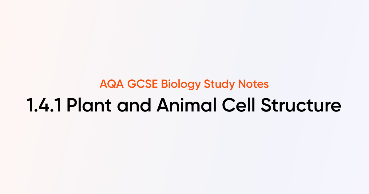 Plant and Animal Cell Structure (1.4.1) | AQA GCSE Biology Notes ...