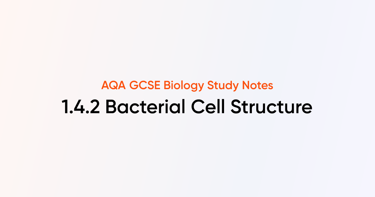 Bacterial Cell Structure (1.4.2) | AQA GCSE Biology Notes | TutorChase