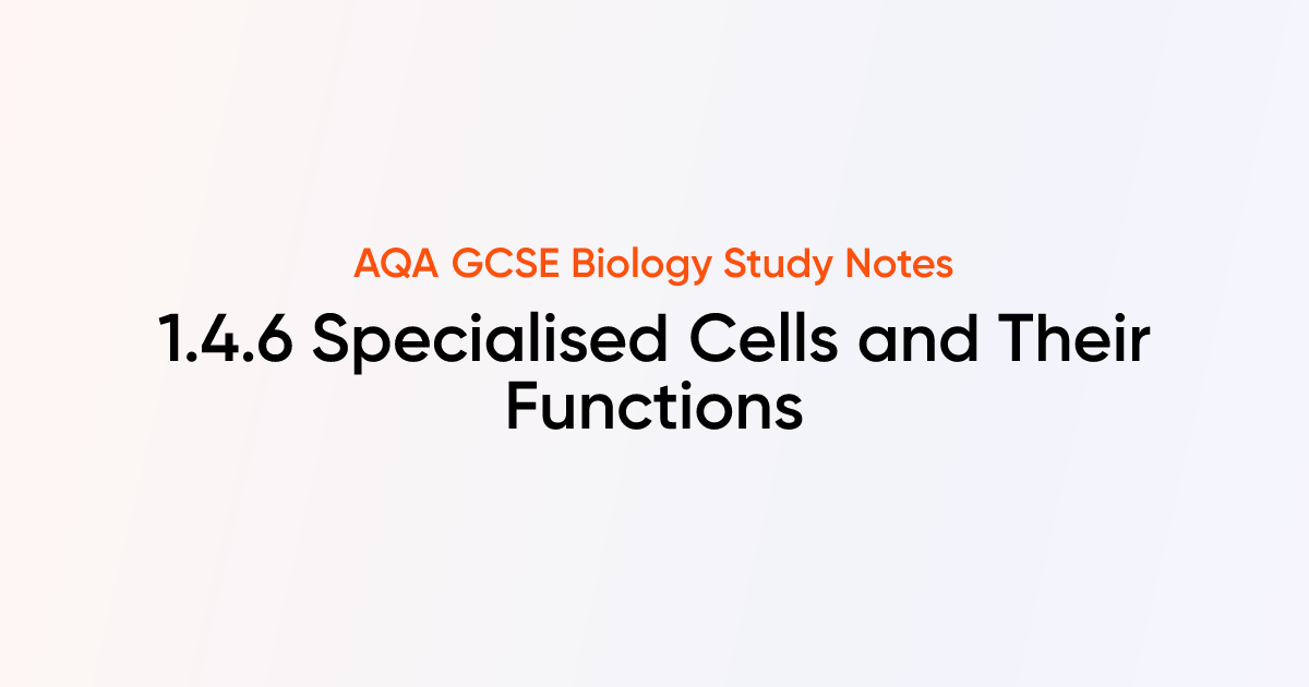 Specialised Cells and Their Functions (1.4.6) |AQA GCSE Biology Notes ...