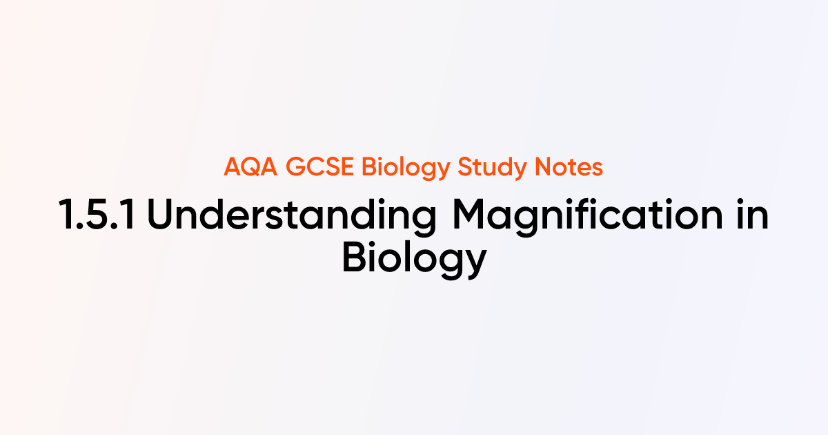 Understanding Magnification in Biology (1.5.1) | AQA GCSE Biology Notes ...