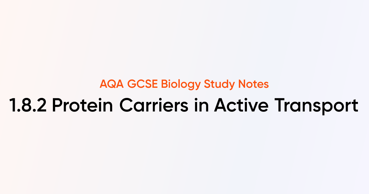Protein Carriers in Active Transport (1.8.2) | AQA GCSE Biology Notes ...