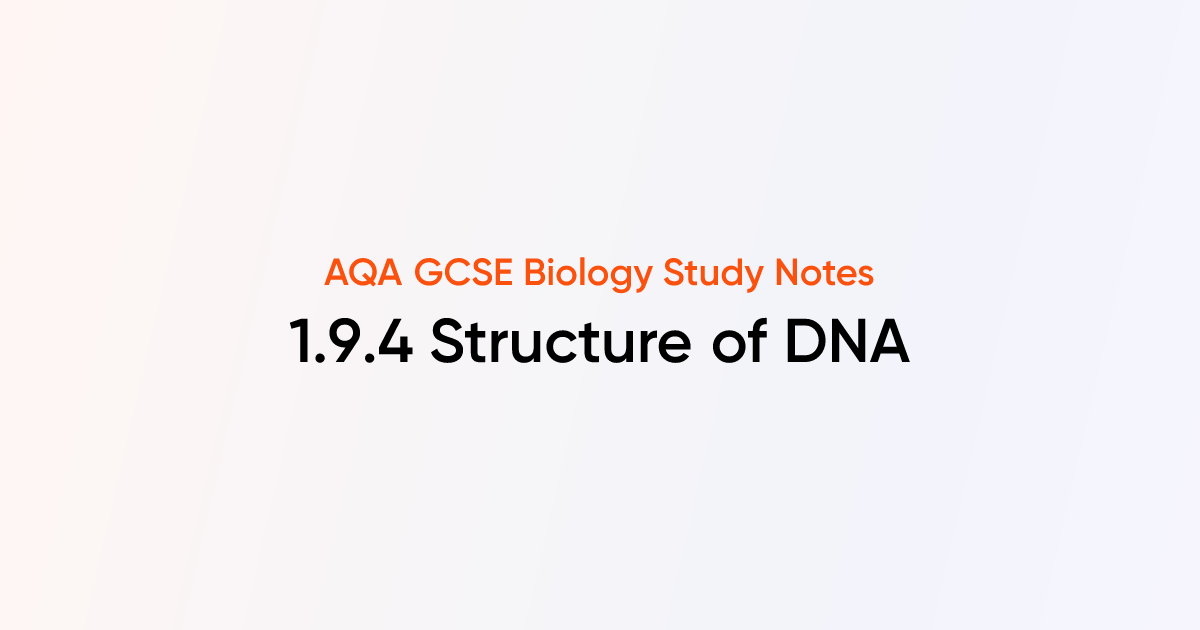 Structure of DNA (1.9.4) | AQA GCSE Biology Notes | TutorChase