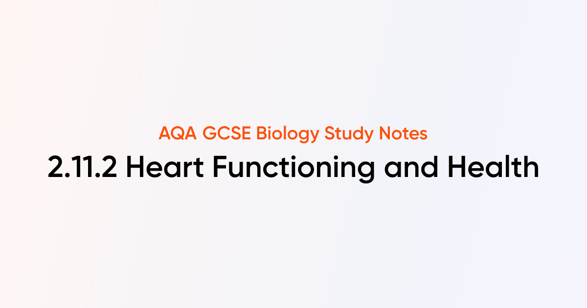 Heart Functioning and Health (2.11.2) | AQA GCSE Biology Notes | TutorChase