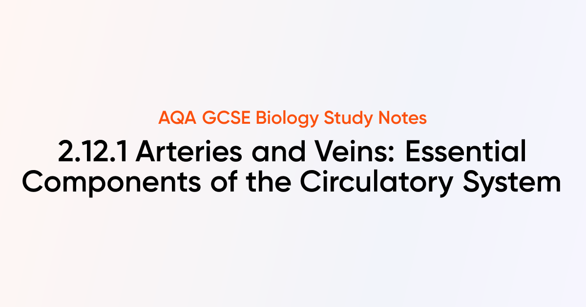 Arteries and Veins: Essential Components of the Circulatory System (2. ...