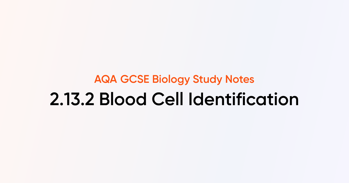 Blood Cell Identification (2.13.2) | AQA GCSE Biology Notes | TutorChase