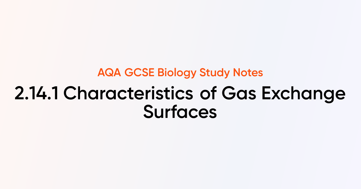 Characteristics of Gas Exchange Surfaces (2.14.1) | AQA GCSE Biology ...