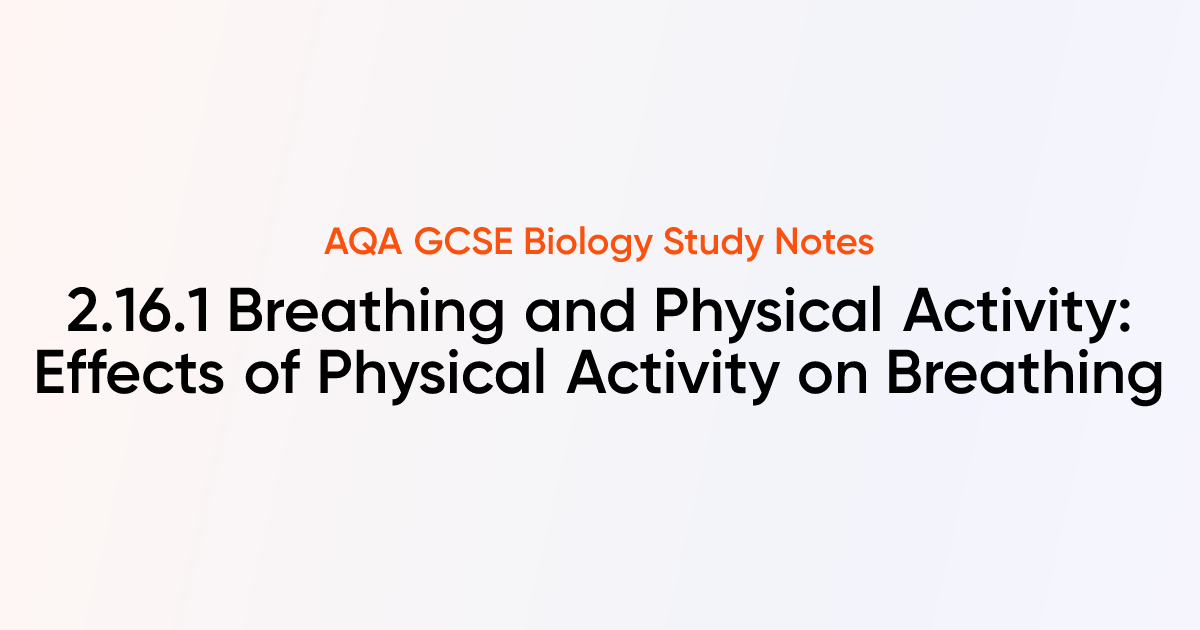 Breathing and Physical Activity: Effects of Physical Activity on ...