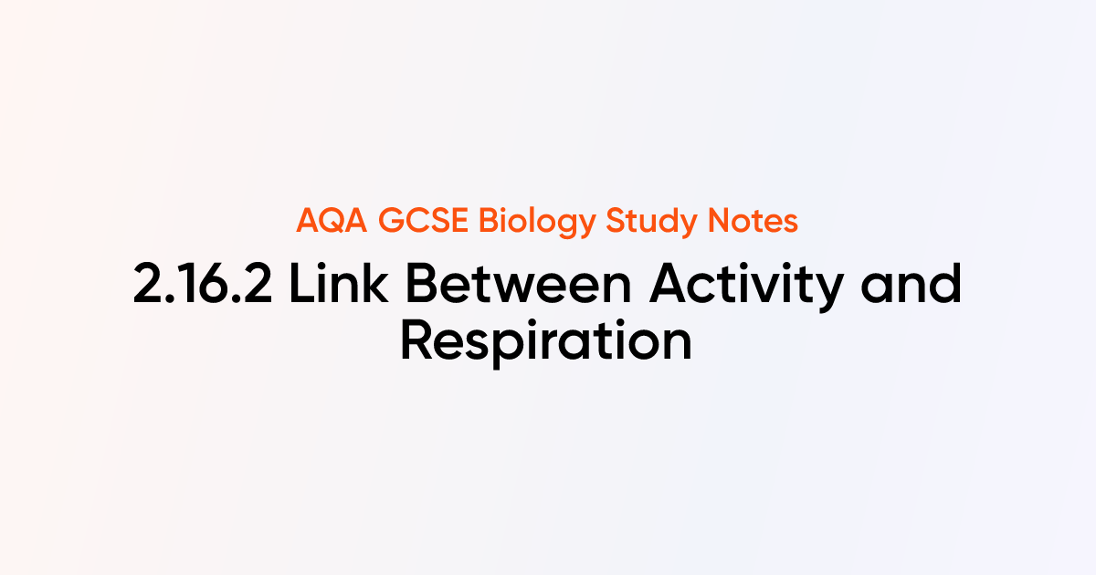 Link Between Activity and Respiration (2.16.2) | AQA GCSE Biology Notes ...