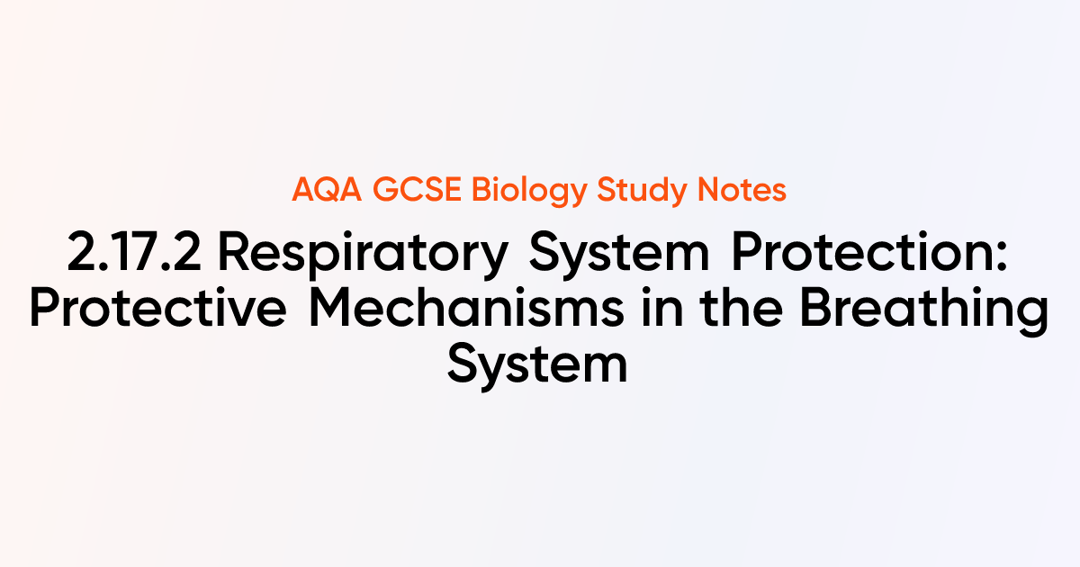 Respiratory System Protection: Protective Mechanisms in the Breathing ...