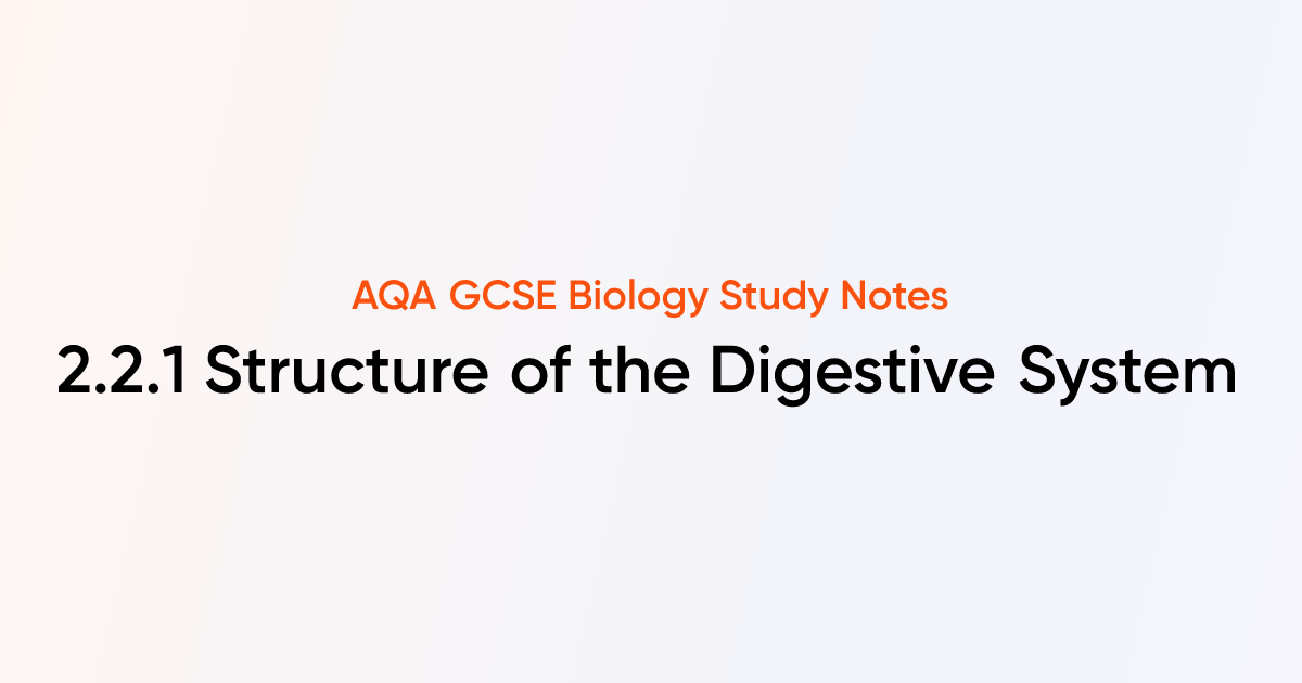 Structure of the Digestive System (2.2.1) | AQA GCSE Biology Notes ...