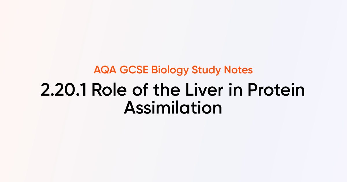 Role of the Liver in Protein Assimilation (2.20.1) | AQA GCSE Biology ...
