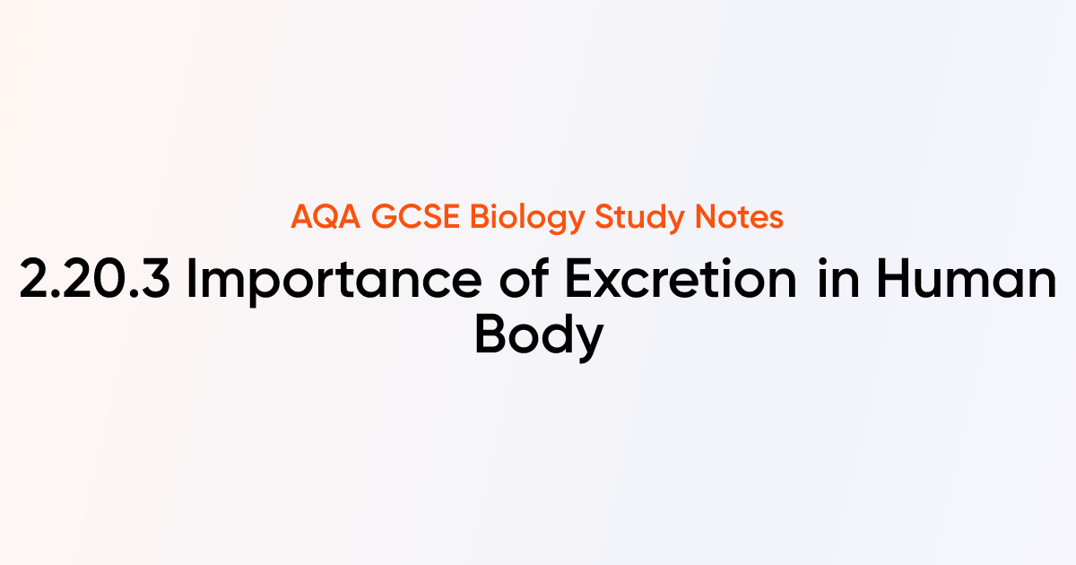 Importance of Excretion in Human Body (2.20.3) | AQA GCSE Biology Notes ...