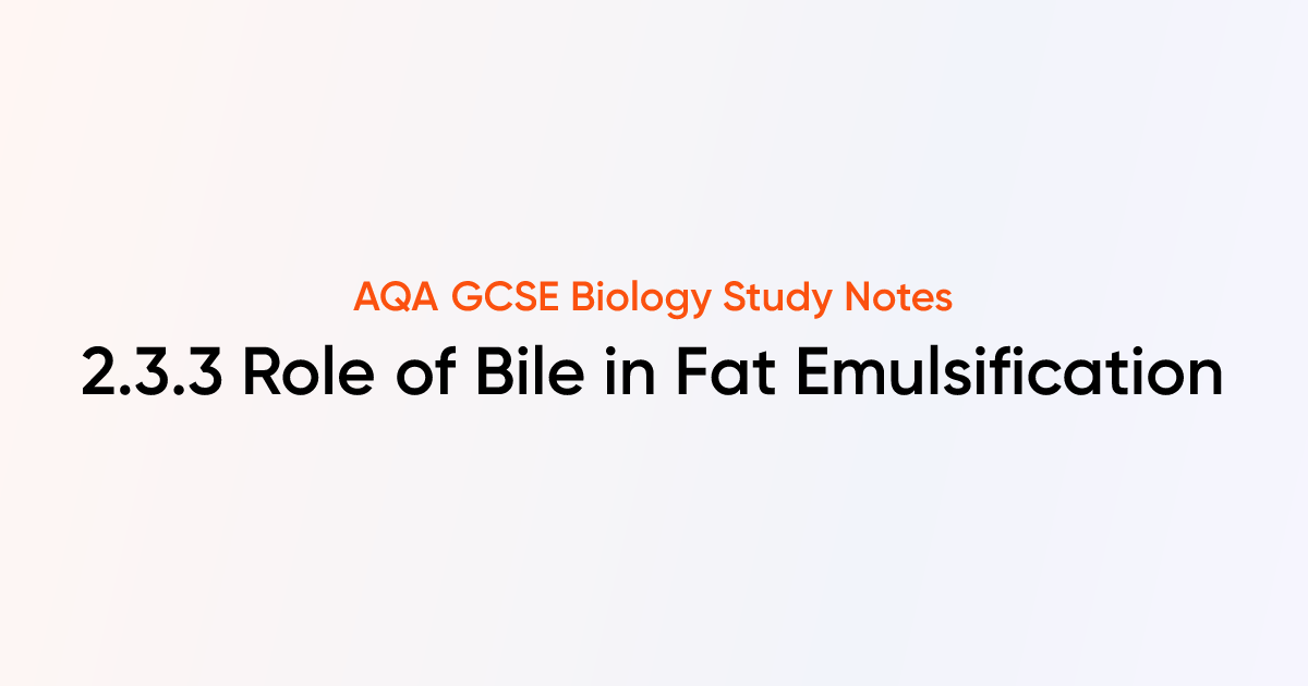 Role of Bile in Fat Emulsification (2.3.3) | AQA GCSE Biology Notes ...