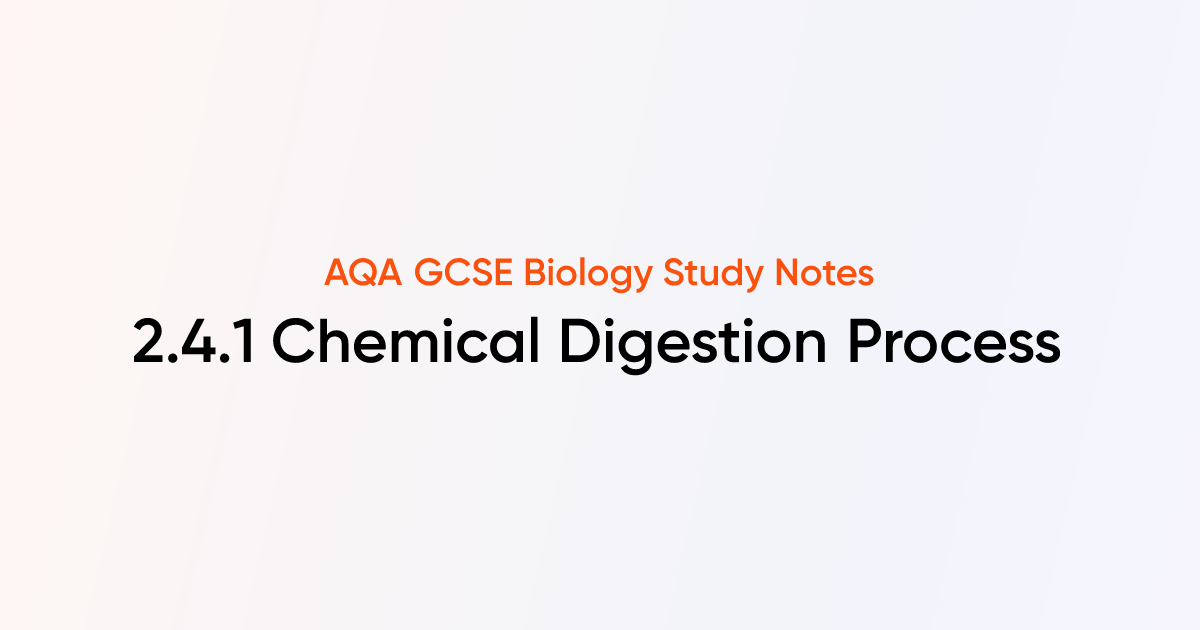Chemical Digestion Process (2.4.1) | AQA GCSE Biology Notes | TutorChase