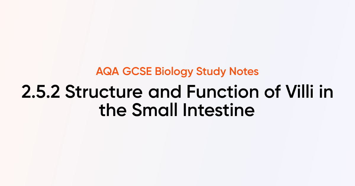 Structure and Function of Villi in the Small Intestine (2.5.2) | AQA ...