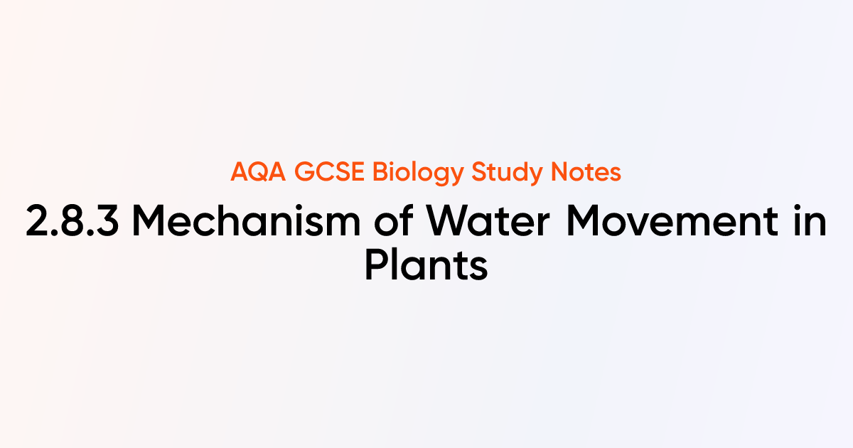 Mechanism of Water Movement in Plants (2.8.3) | AQA GCSE Biology Notes ...