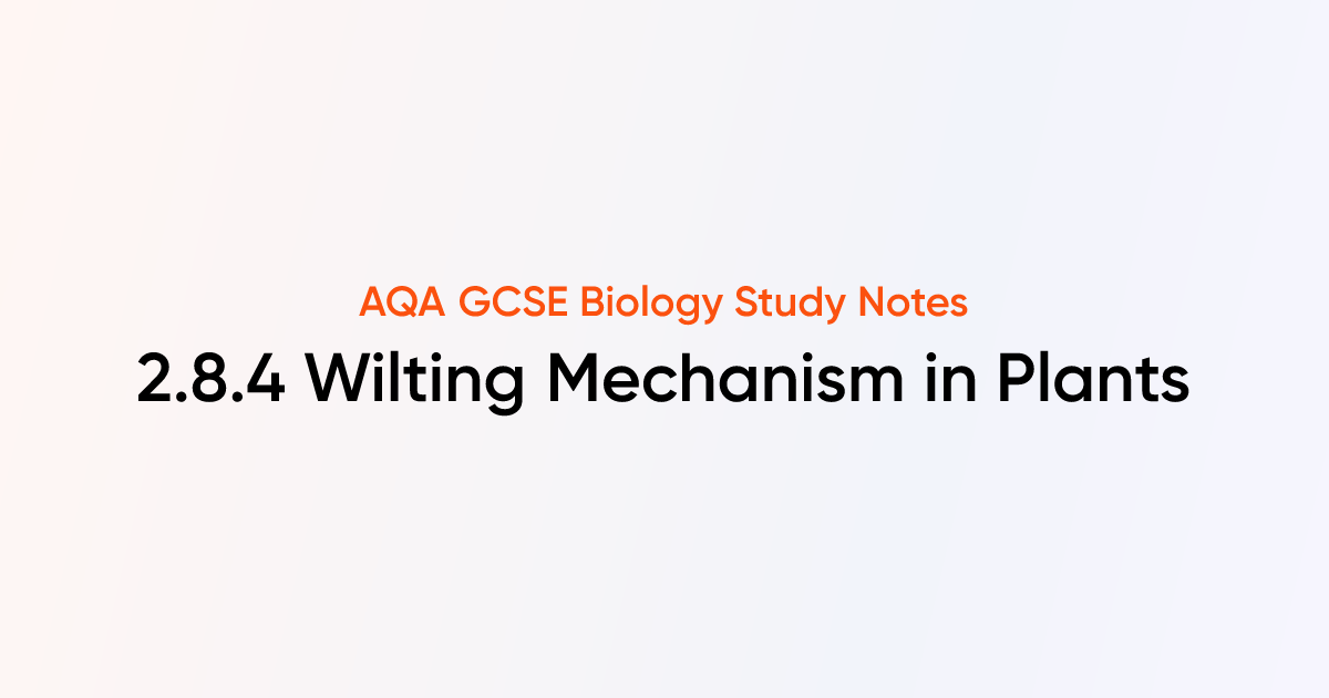 Wilting Mechanism in Plants (2.8.4) | AQA GCSE Biology Notes | TutorChase