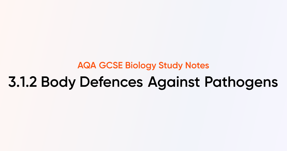 Body Defences Against Pathogens (3.1.2) | AQA GCSE Biology Notes ...