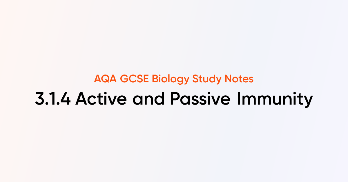 Active and Passive Immunity (3.1.4) | AQA GCSE Biology Notes | TutorChase
