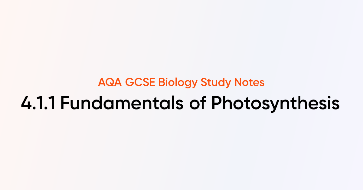 Fundamentals of Photosynthesis (4.1.1) | AQA GCSE Biology Notes ...