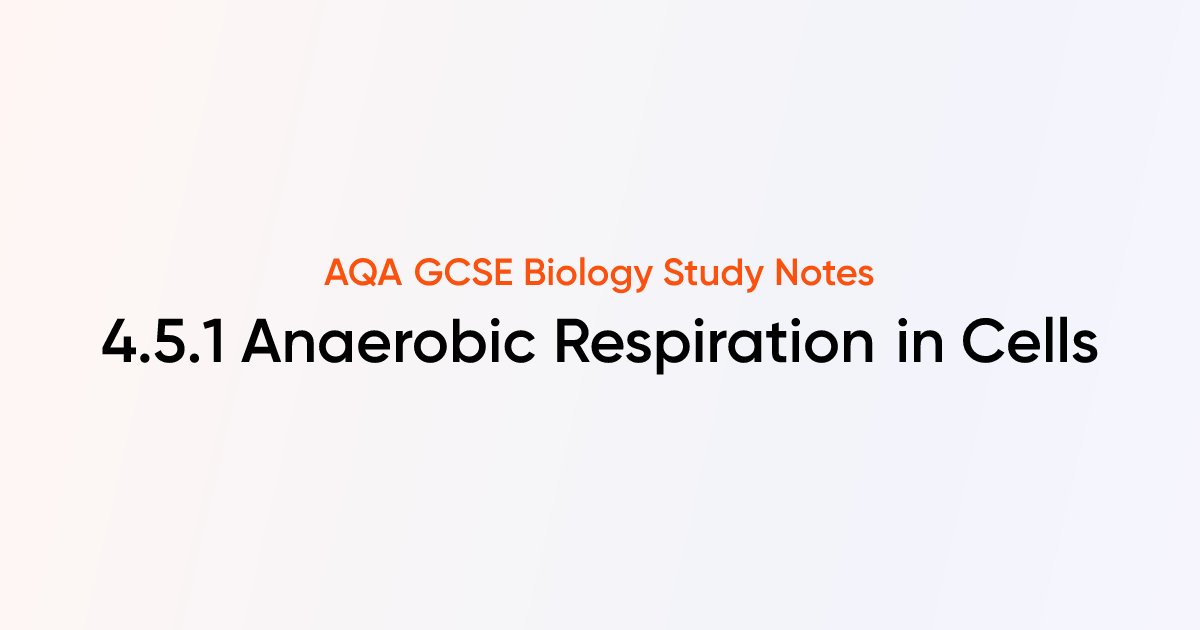 Anaerobic Respiration in Cells (4.5.1) | AQA GCSE Biology Notes ...