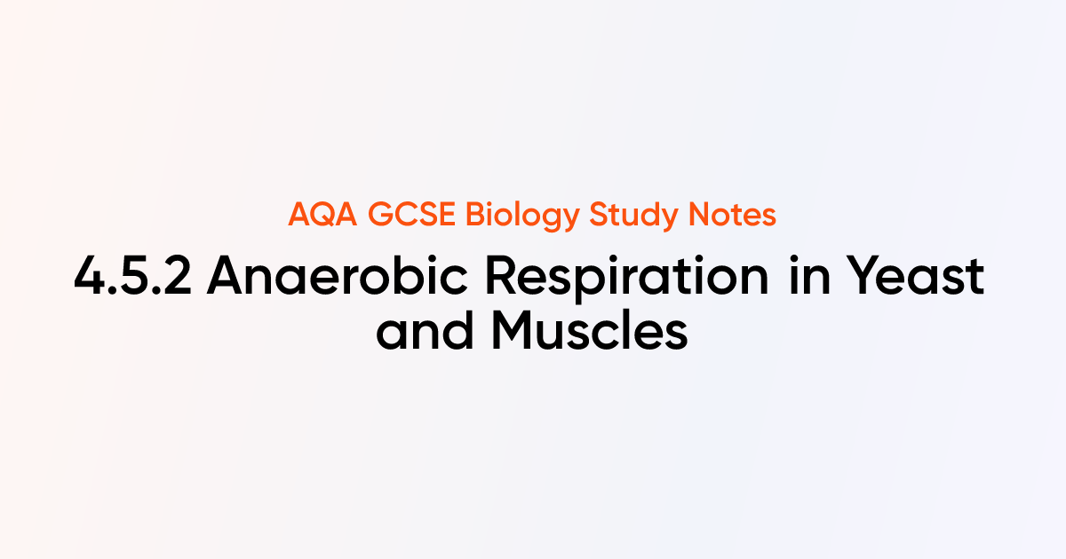 Anaerobic Respiration in Yeast and Muscles (4.5.2) | AQA GCSE Biology ...