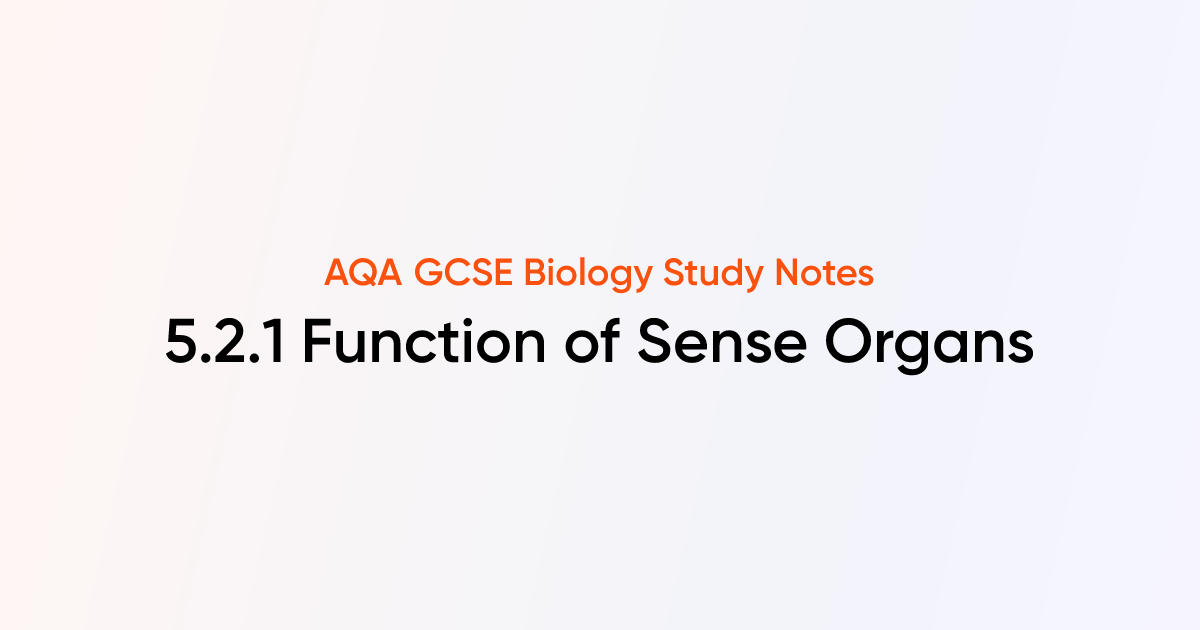 Function Of Sense Organs 521 Cie Igcse Biology Notes Tutorchase