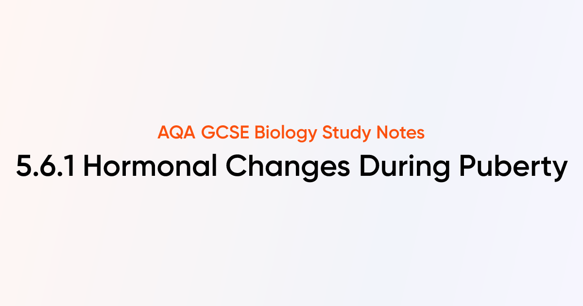 Hormonal Changes During Puberty (5.6.1) | AQA GCSE Biology Notes ...